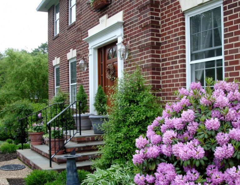 Mga halaman na pang-adorno: 115 mga larawan ng mga ideya sa disenyo ng ...